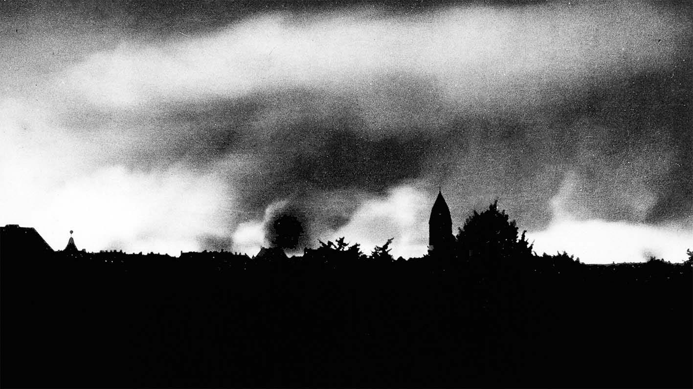 '380 acres of complete devastation' - by Martin Cherrett