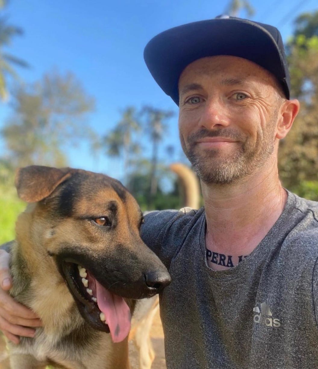 How Can I Help? - by Niall Harbison - Happy Doggo