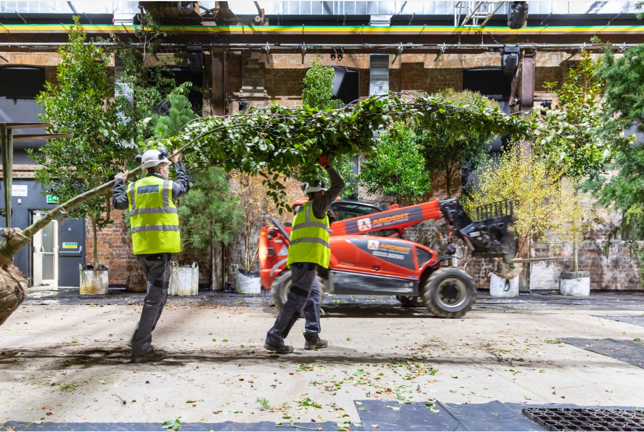 Creating the 'Conference of the Trees'