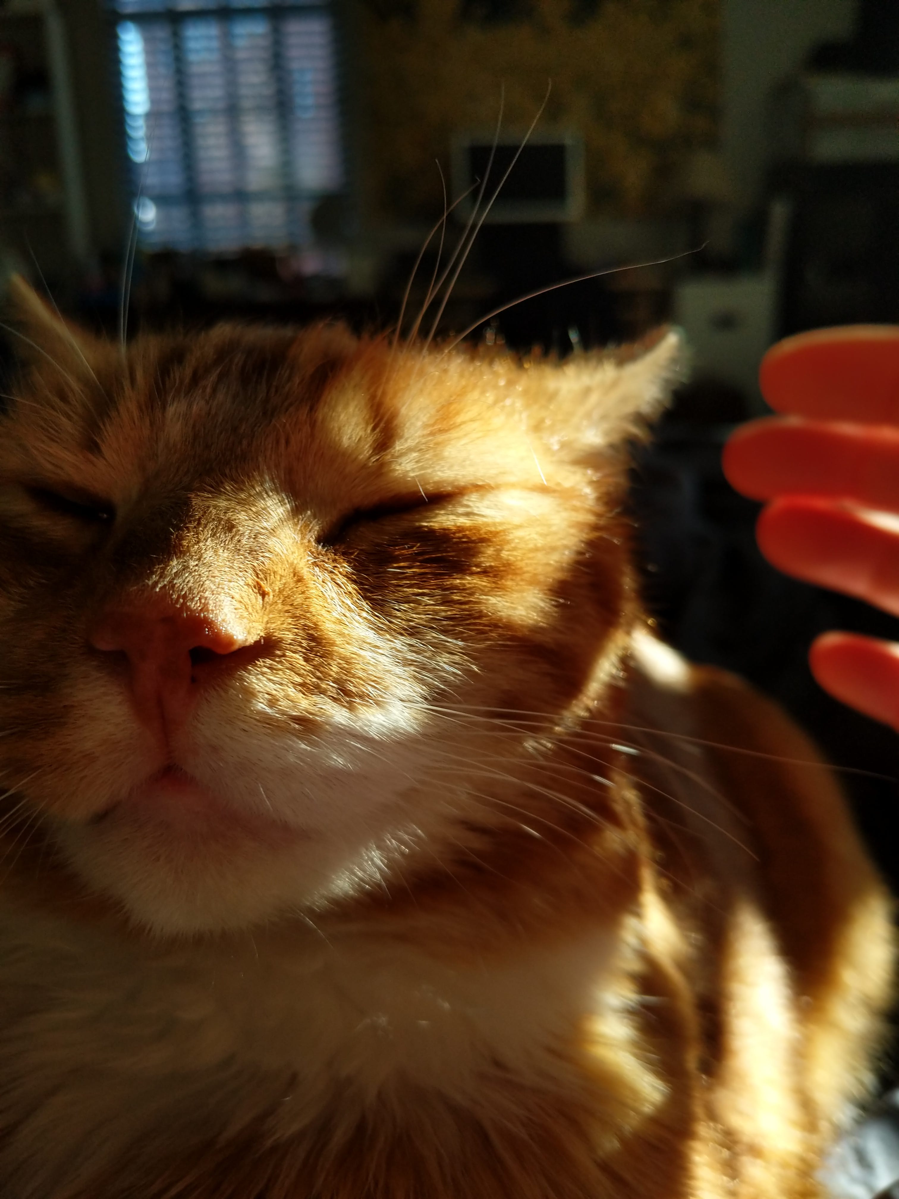 HOW ARE YOU? | Jordyn Ruth | Substack