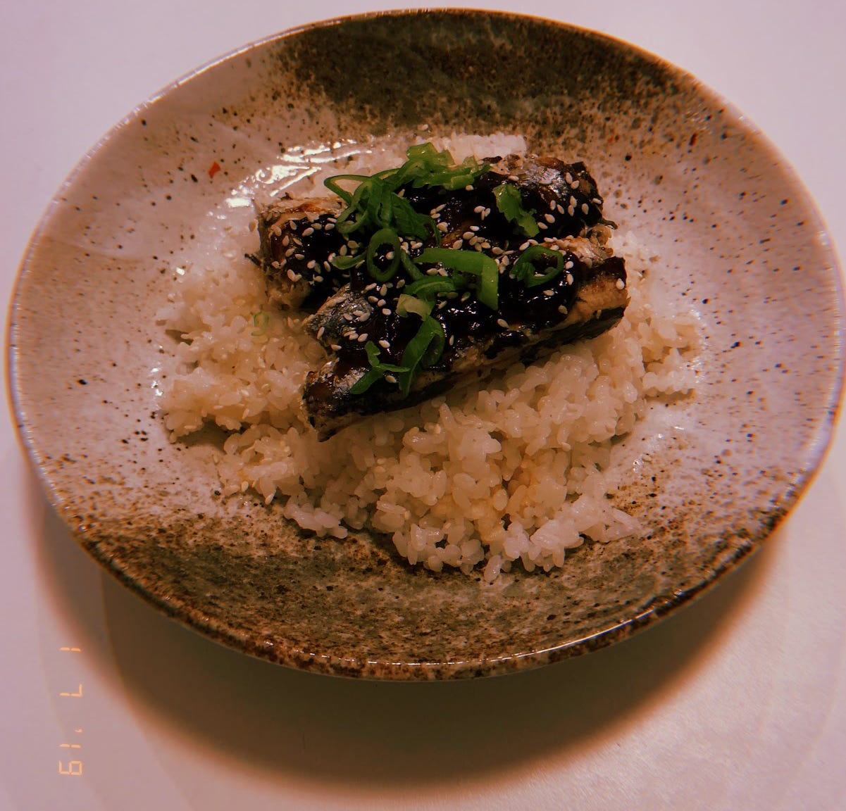 15 minute Unagi Don - Sam's Digest