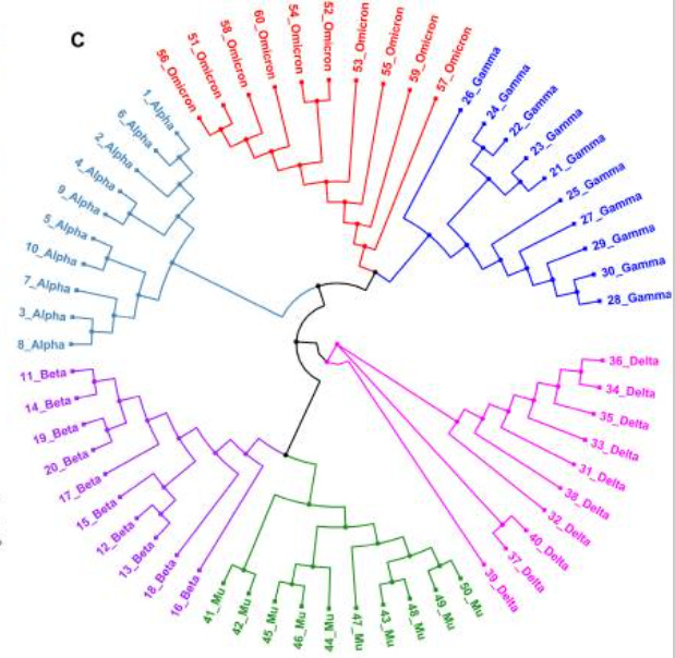 The Curious Emergence of Omicron - Modern Discontent