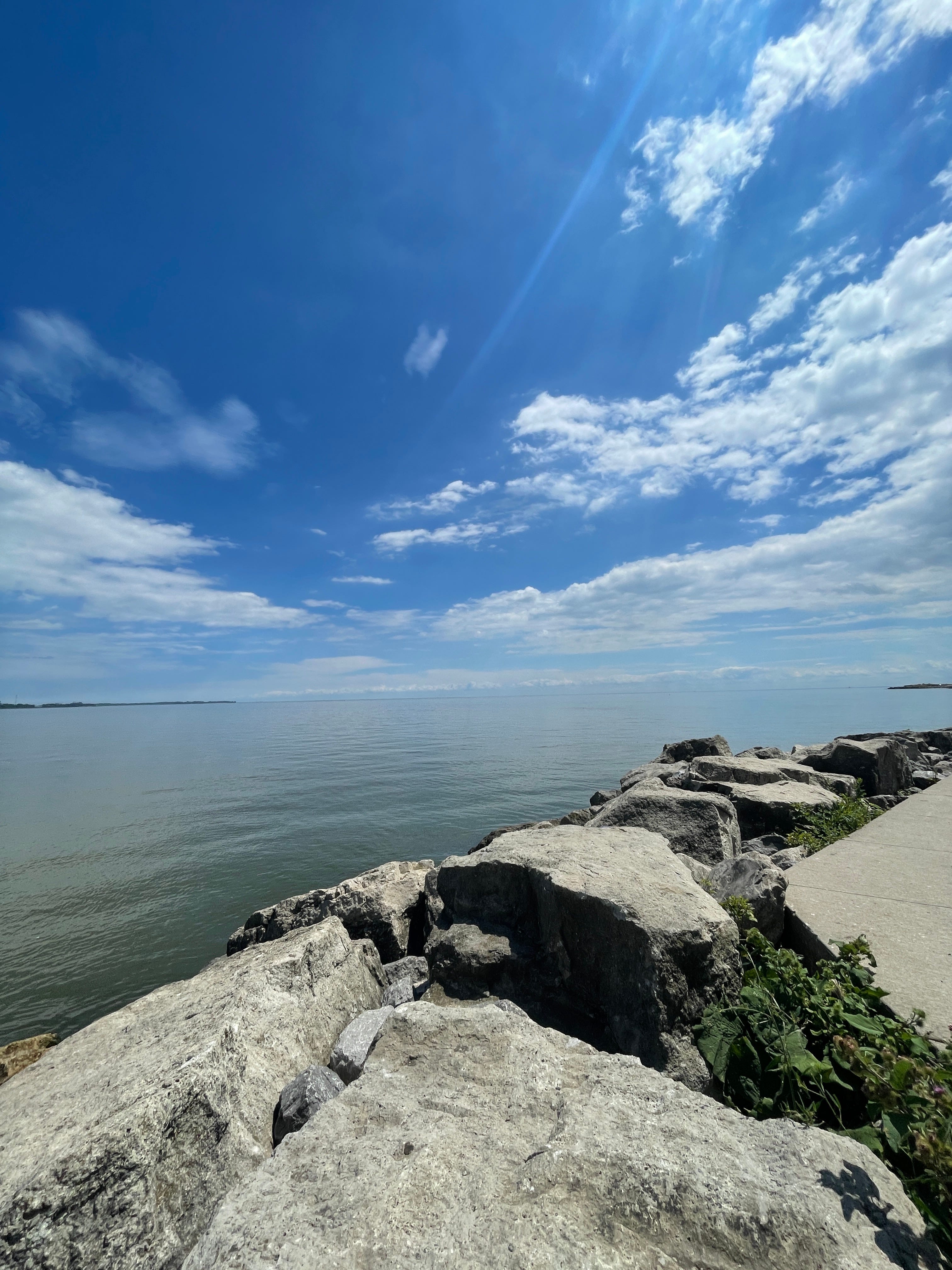 When Beauty is Brutal - by Michelle Jia