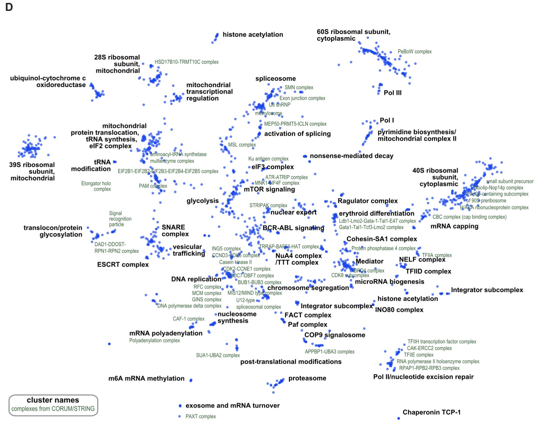 Genotype-phenotype maps - by Elliot Hershberg