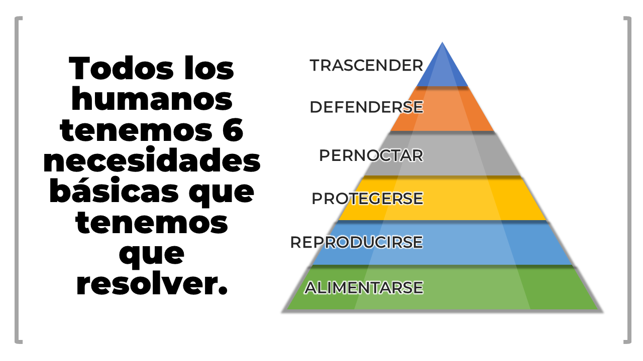 12. Conecta 4: Para imaginar o meditar