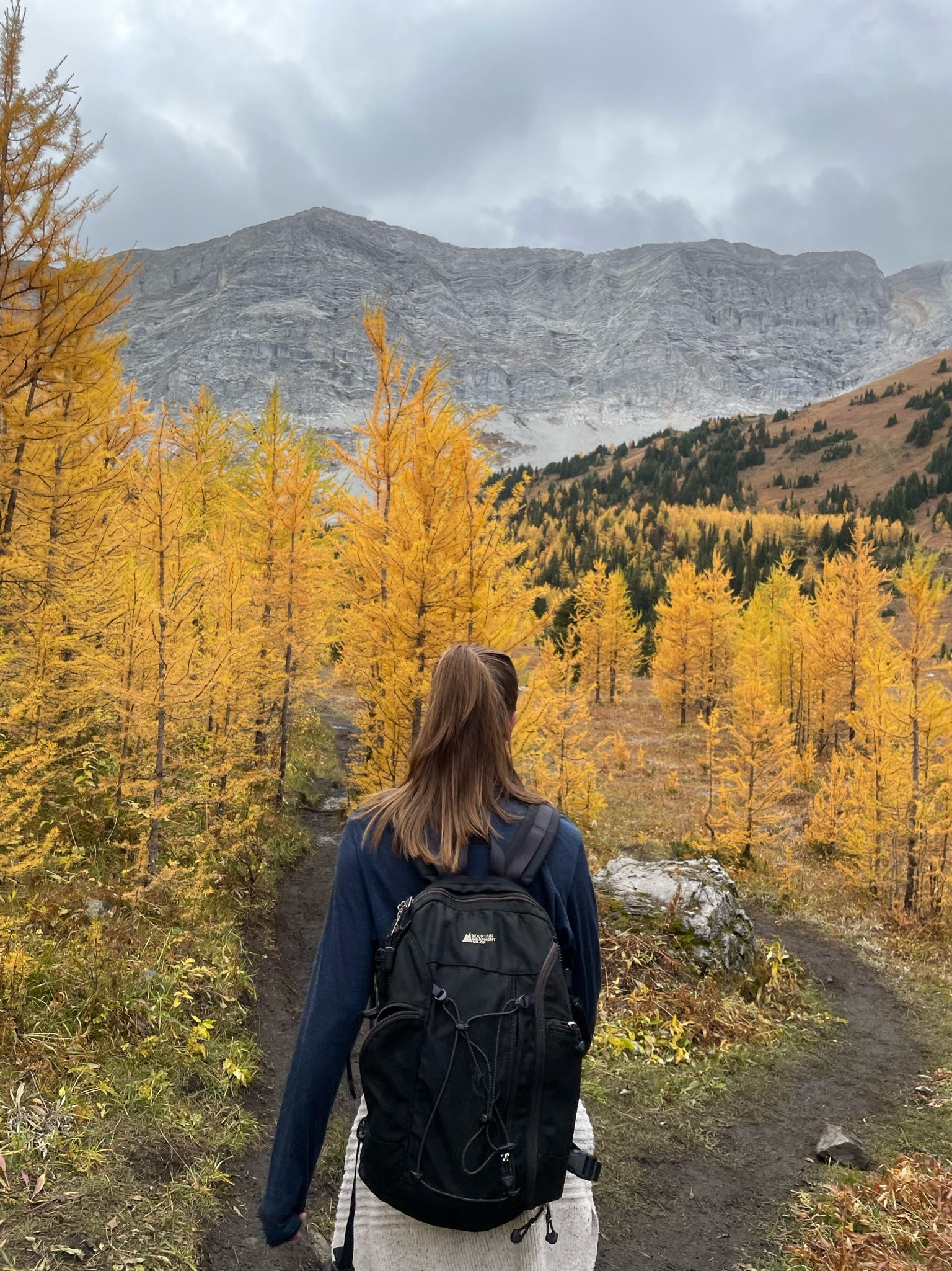 What is Meraki? - by Katrina de Schiffert - Meraki