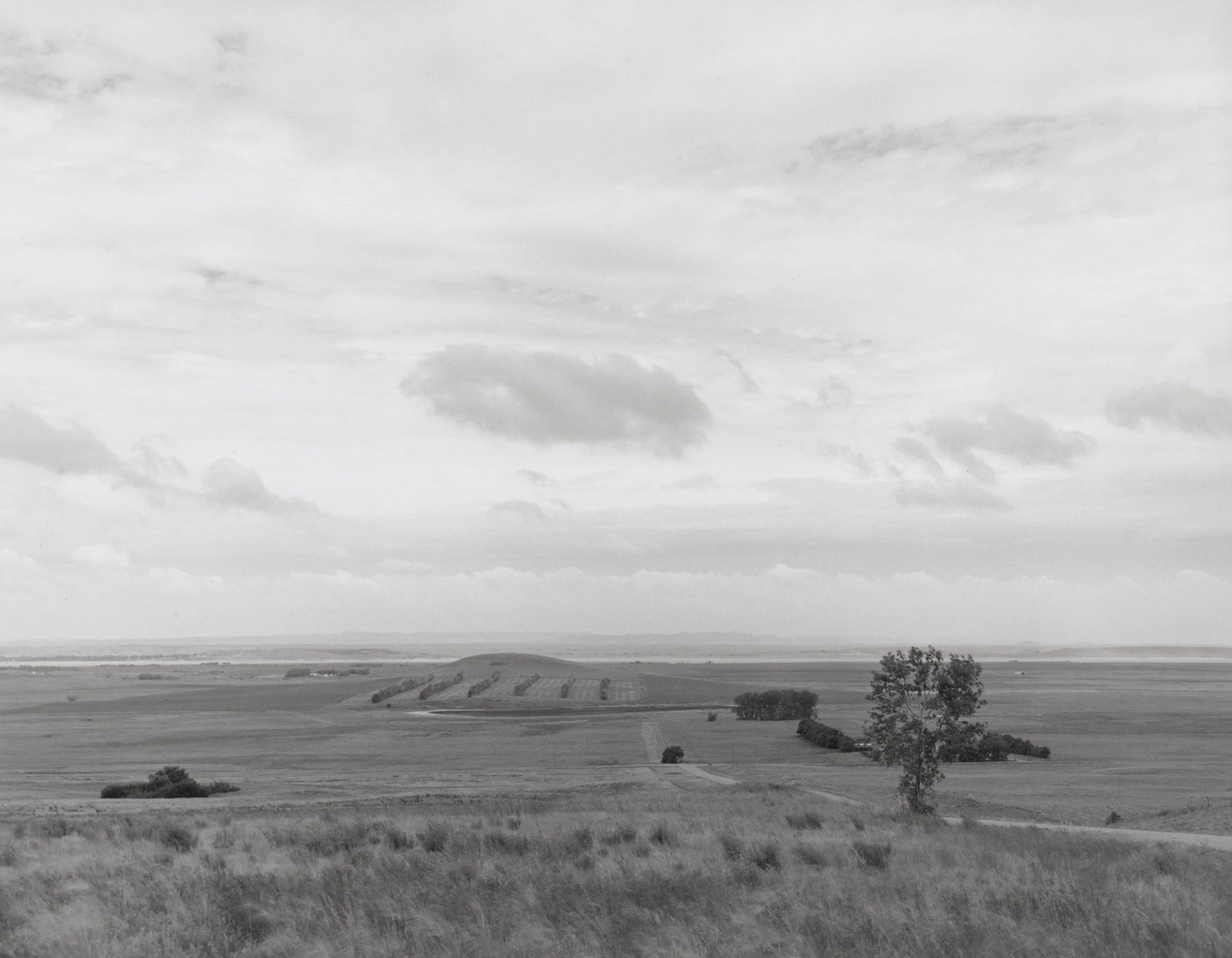 5 poems - by david c. porter - Garden Scenery