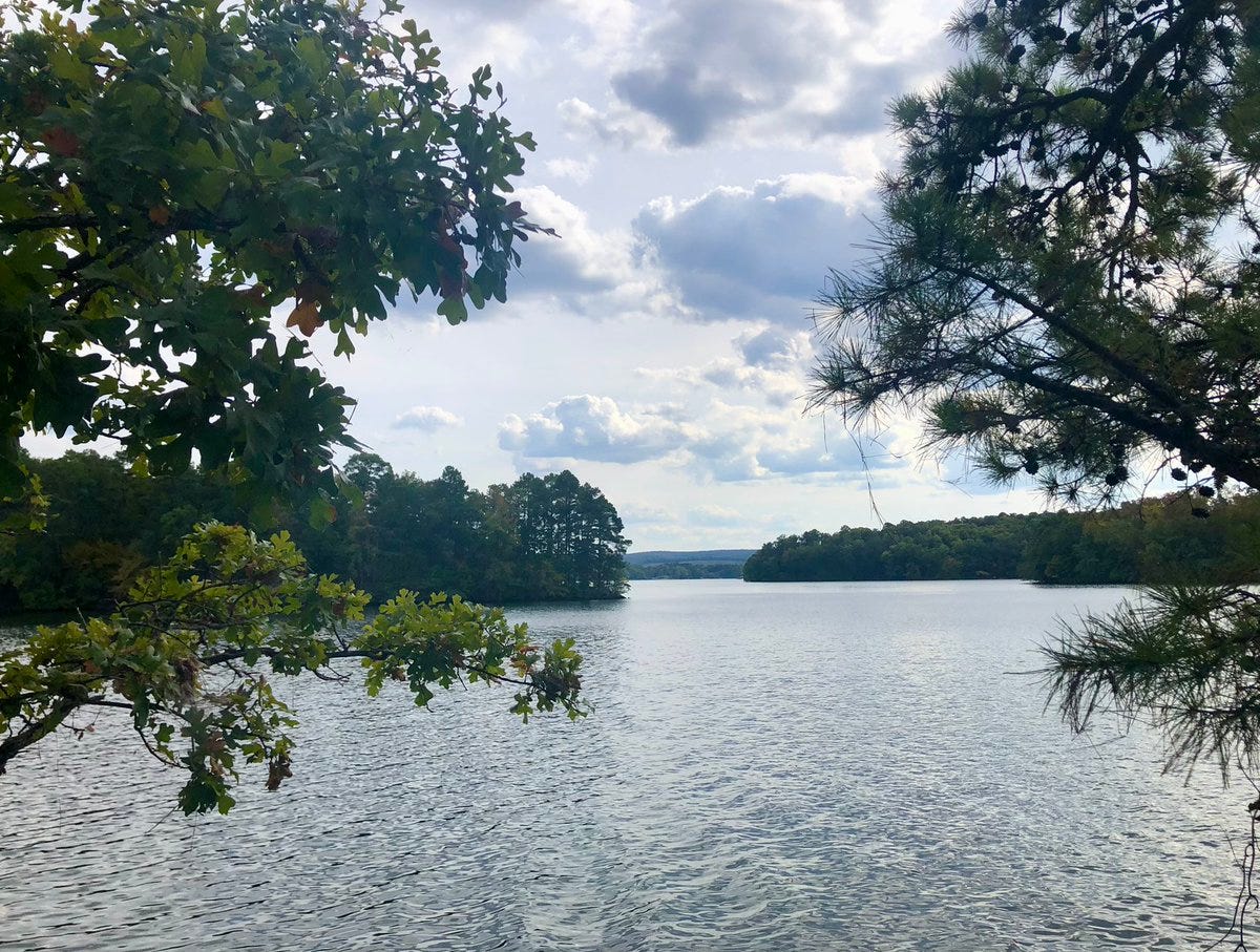 SCARY COOL SAD GOODBYE 29 - by Meaghan Garvey