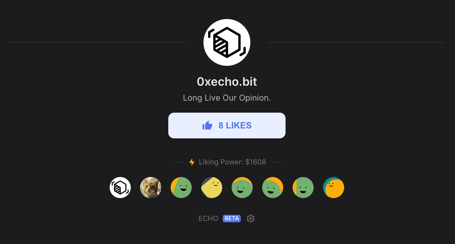 「ECHO」: 观点永存 - ECHO 中文