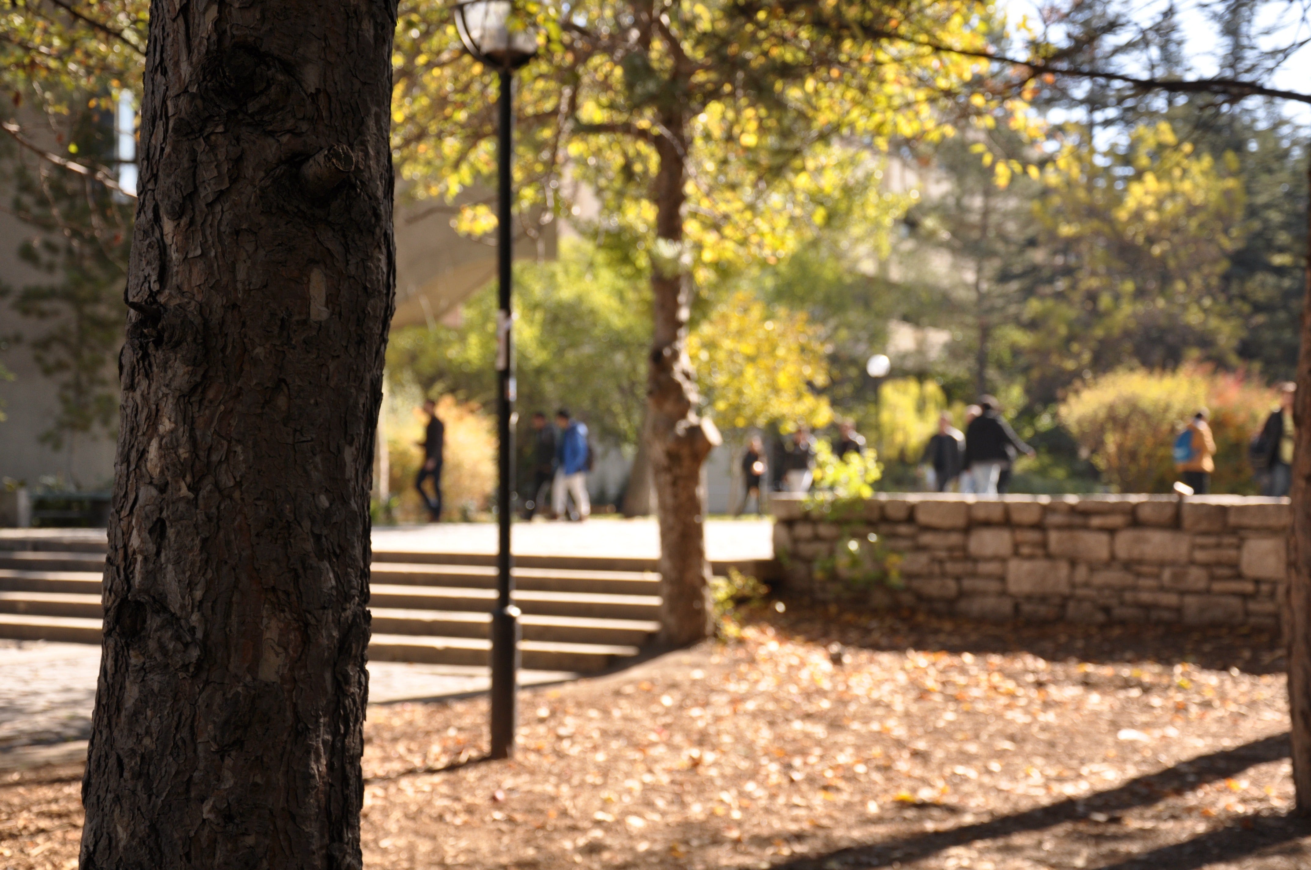 Stoner - by Giovanni Zagni - Incertezze