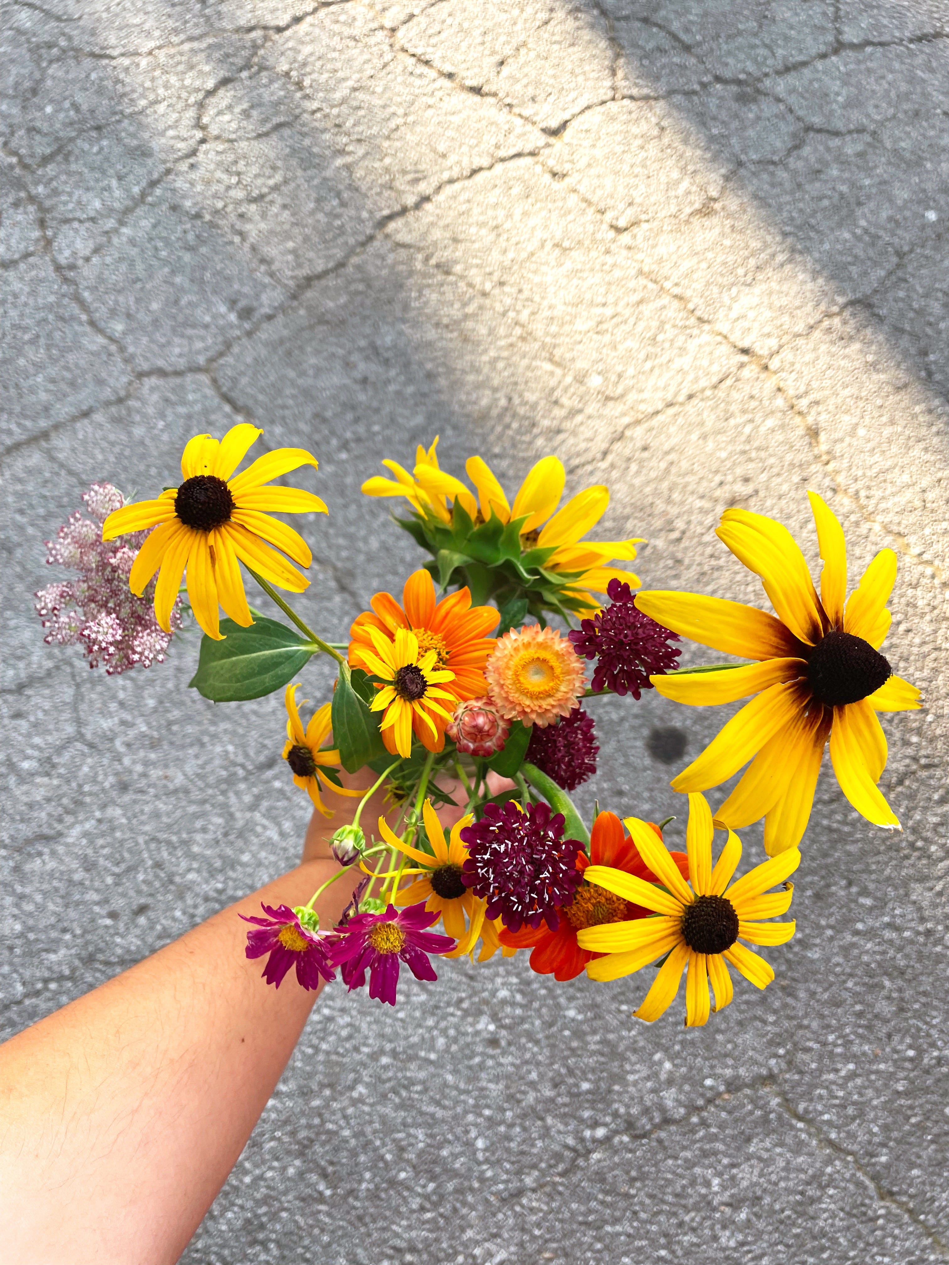 Younger and Older Friends! - Ashley Heider Daly