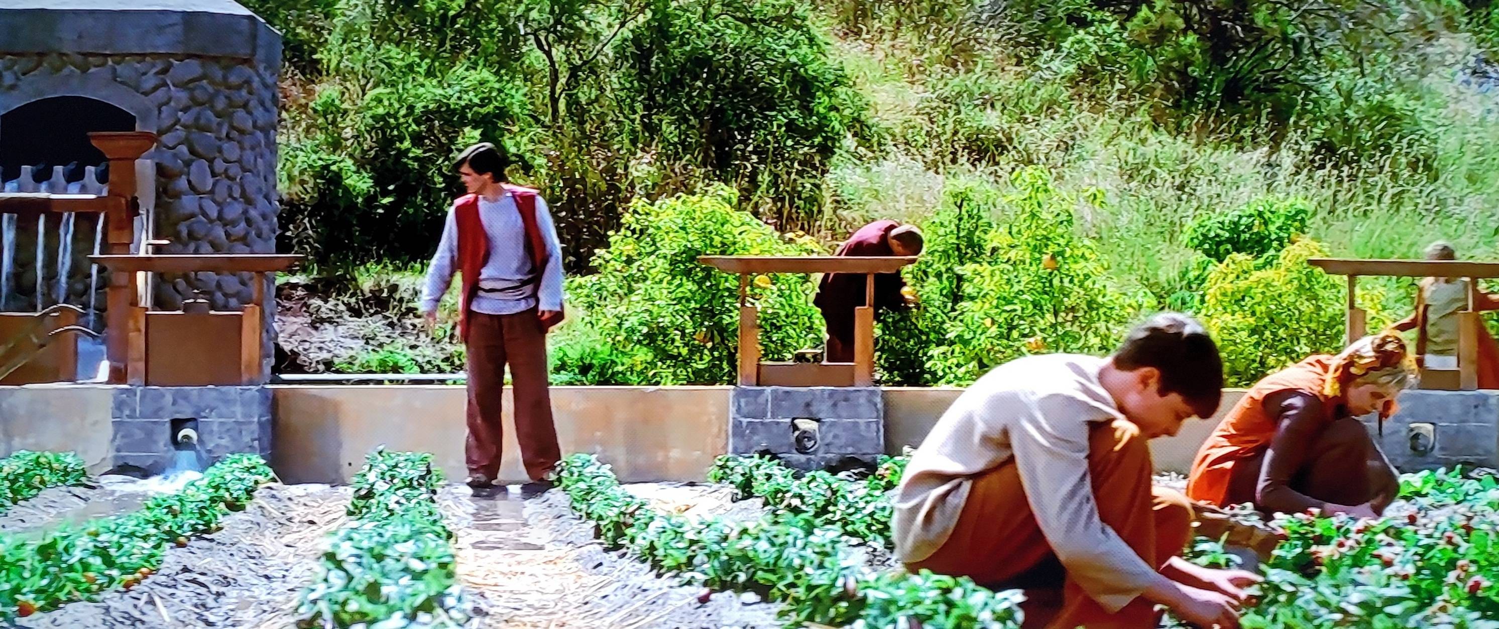 A new Substack - Lessons from Star Trek - by David Shane