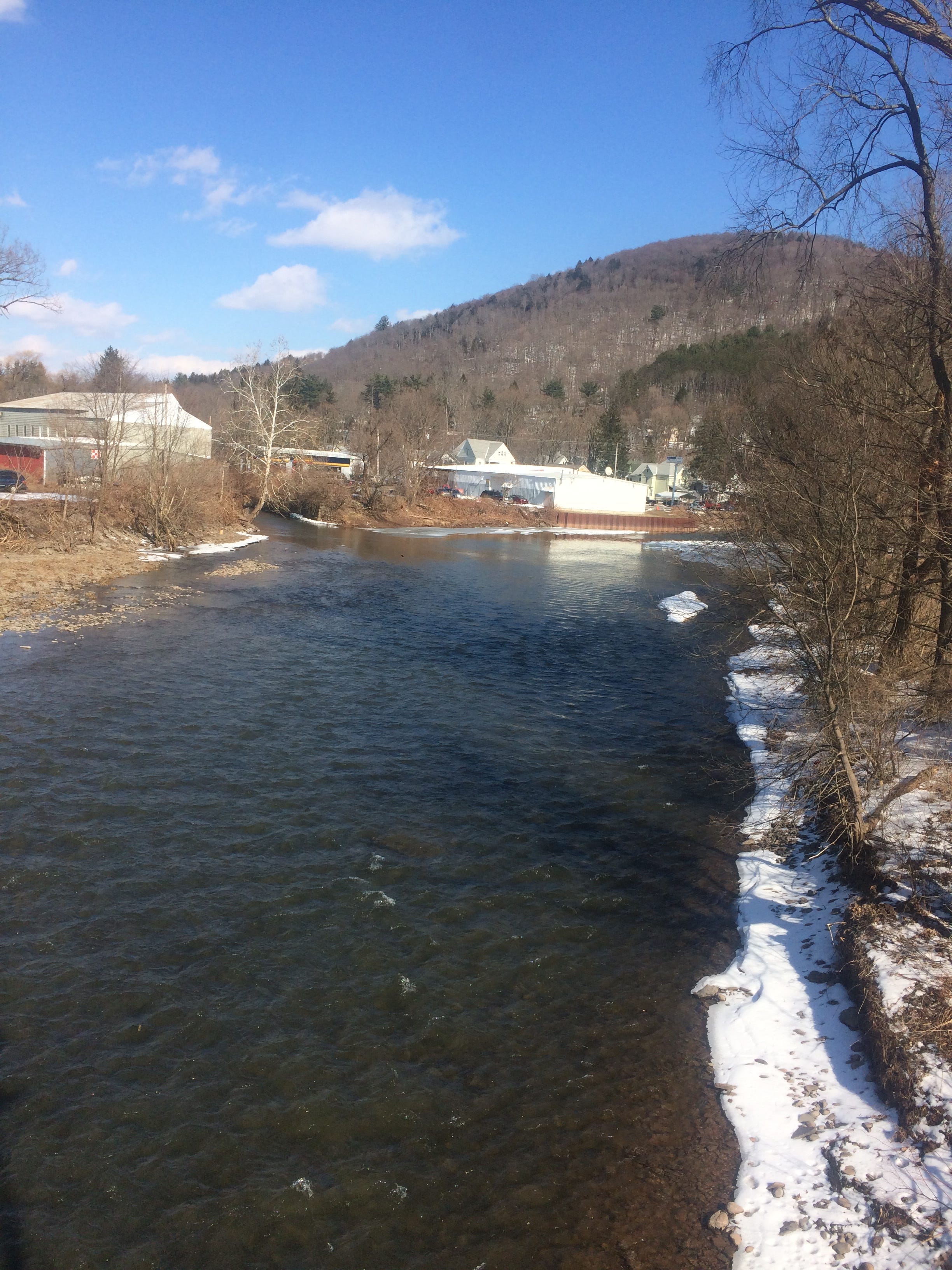 The Waltonian - March 11th - by Chris Ogden - The Waltonian