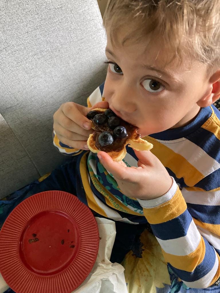 Opus nr. 34 - Ambasadorul României în Țările Josnice e un guvid fără ...