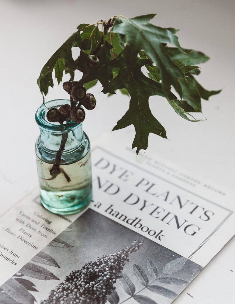 acorns! - by Toronto Ink Company