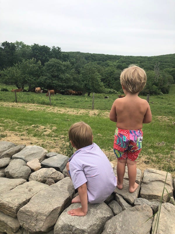 Moving in the Right Direction - by Isabel Cowles Murphy