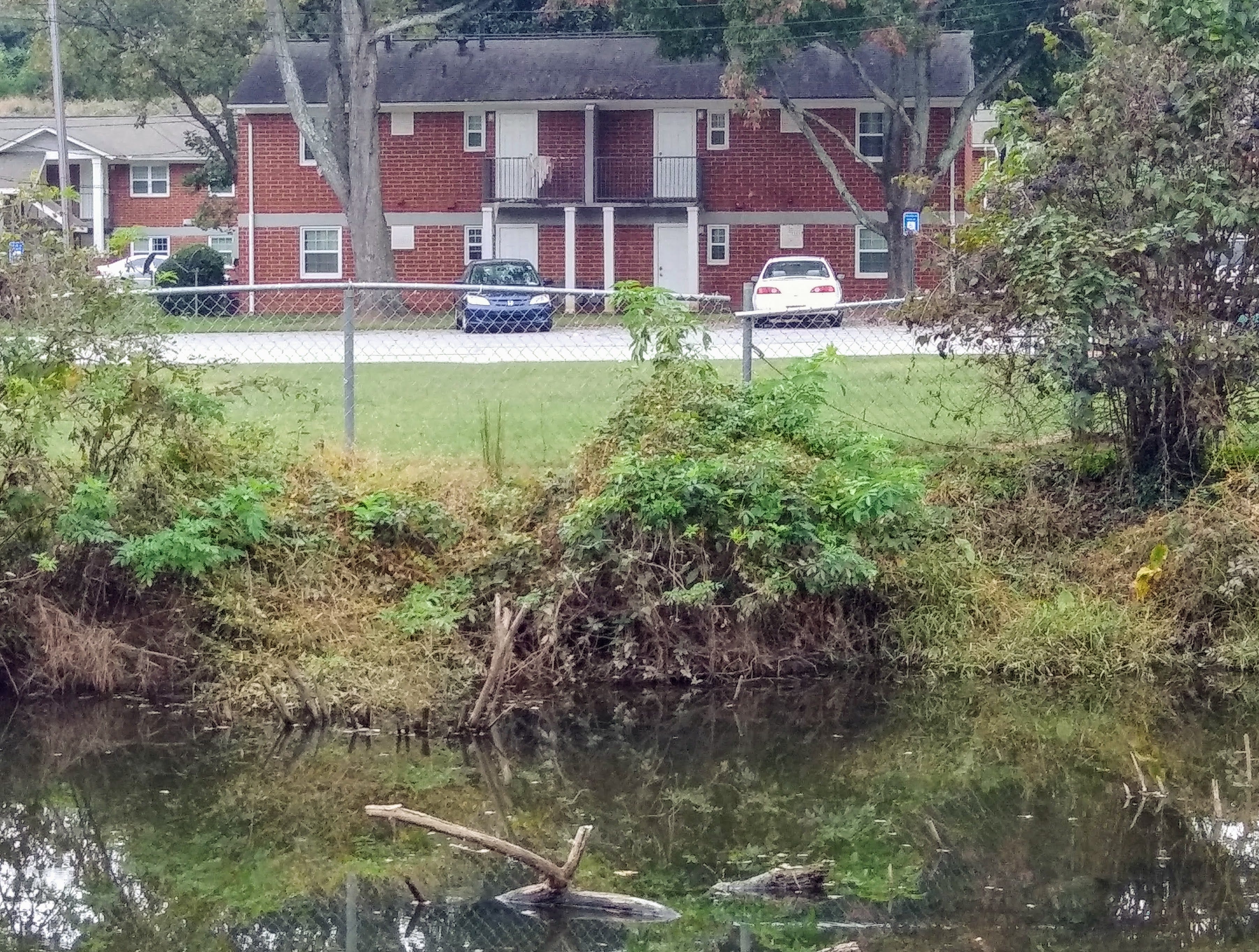 A Mighty Stream - by Fletcher Moore - Red Clay Bestiary
