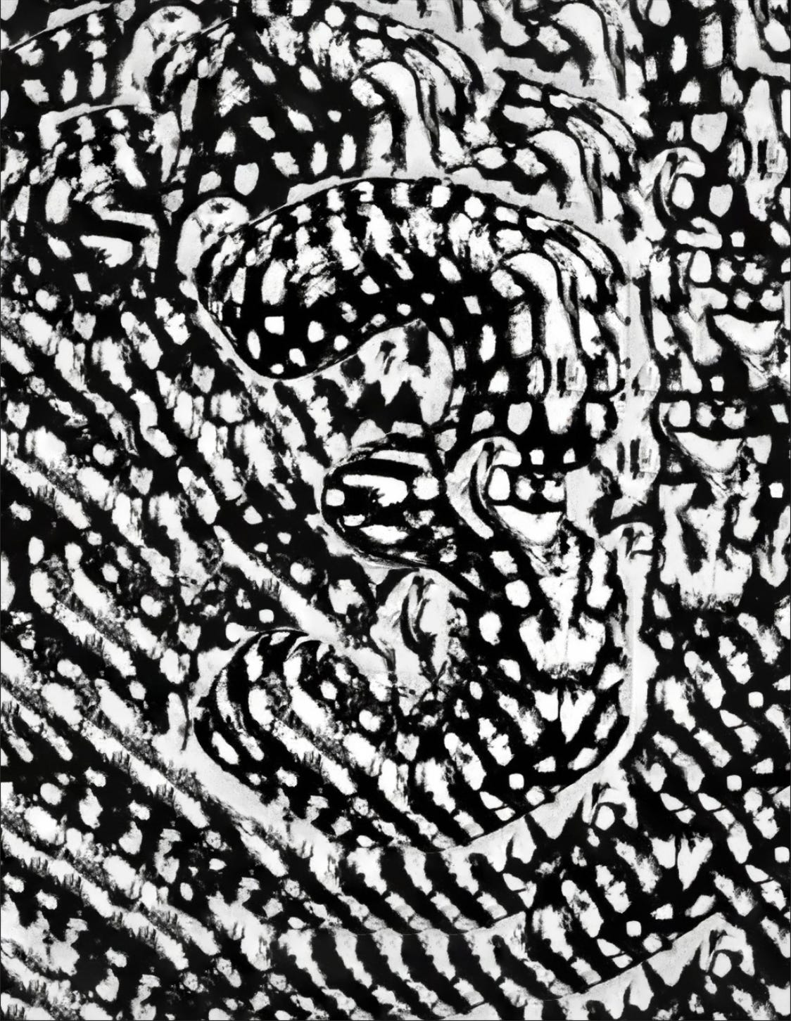 DEEP OBJECTS: ISSUE 003 - by Claire Lee - F T R LENS