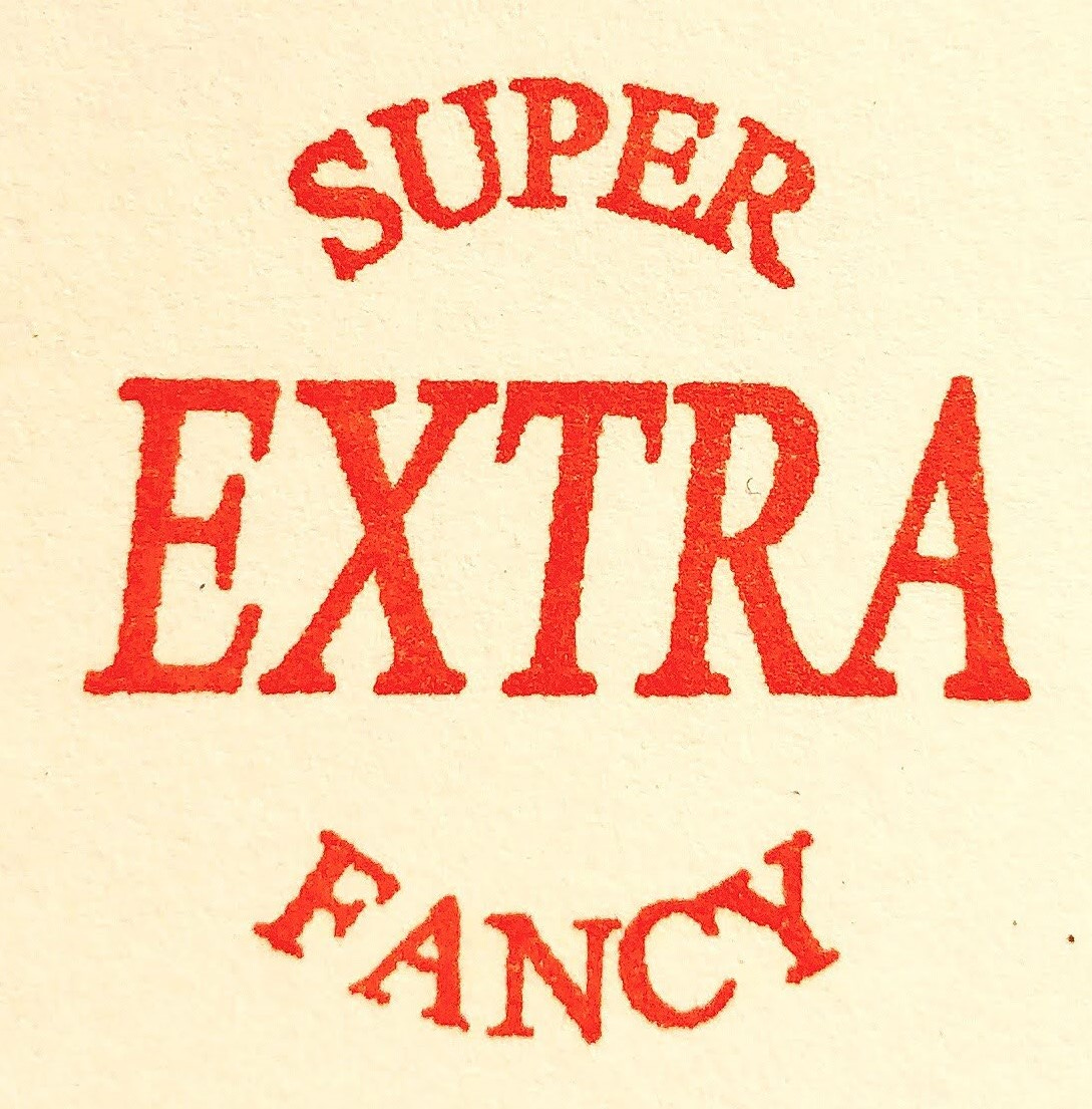 SUPERXFANCY | Substack