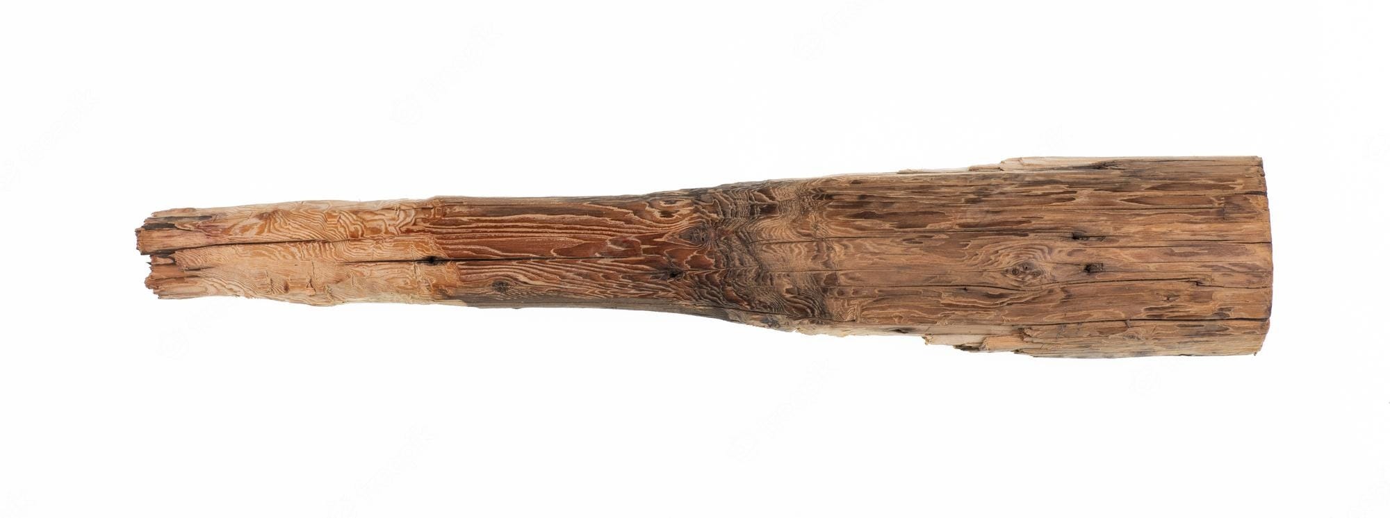 A Brief History of Bonk, Part 1 (Bonk Through the Ages)