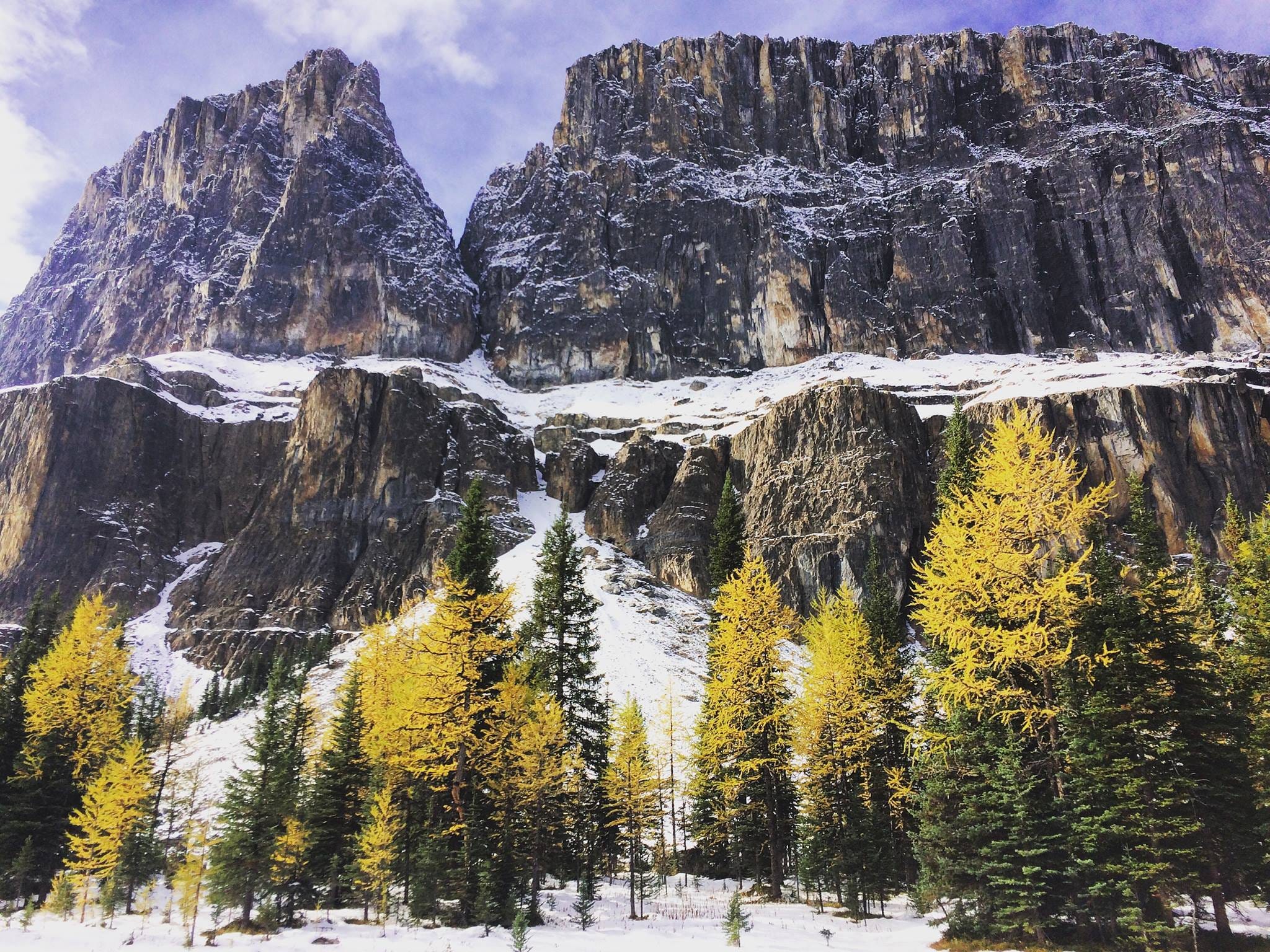 It's (Almost) Time for a Larch March!