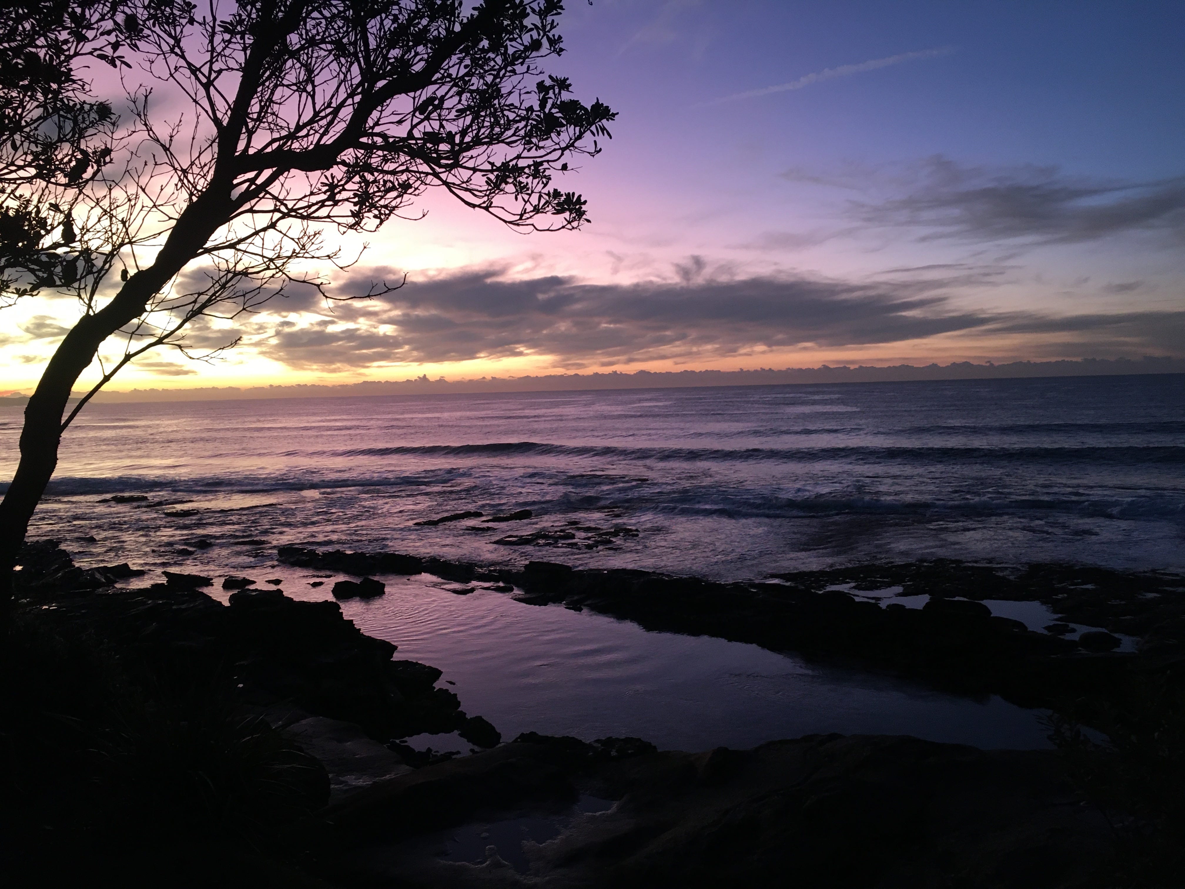 leftovers are better deep fried! - by arielle