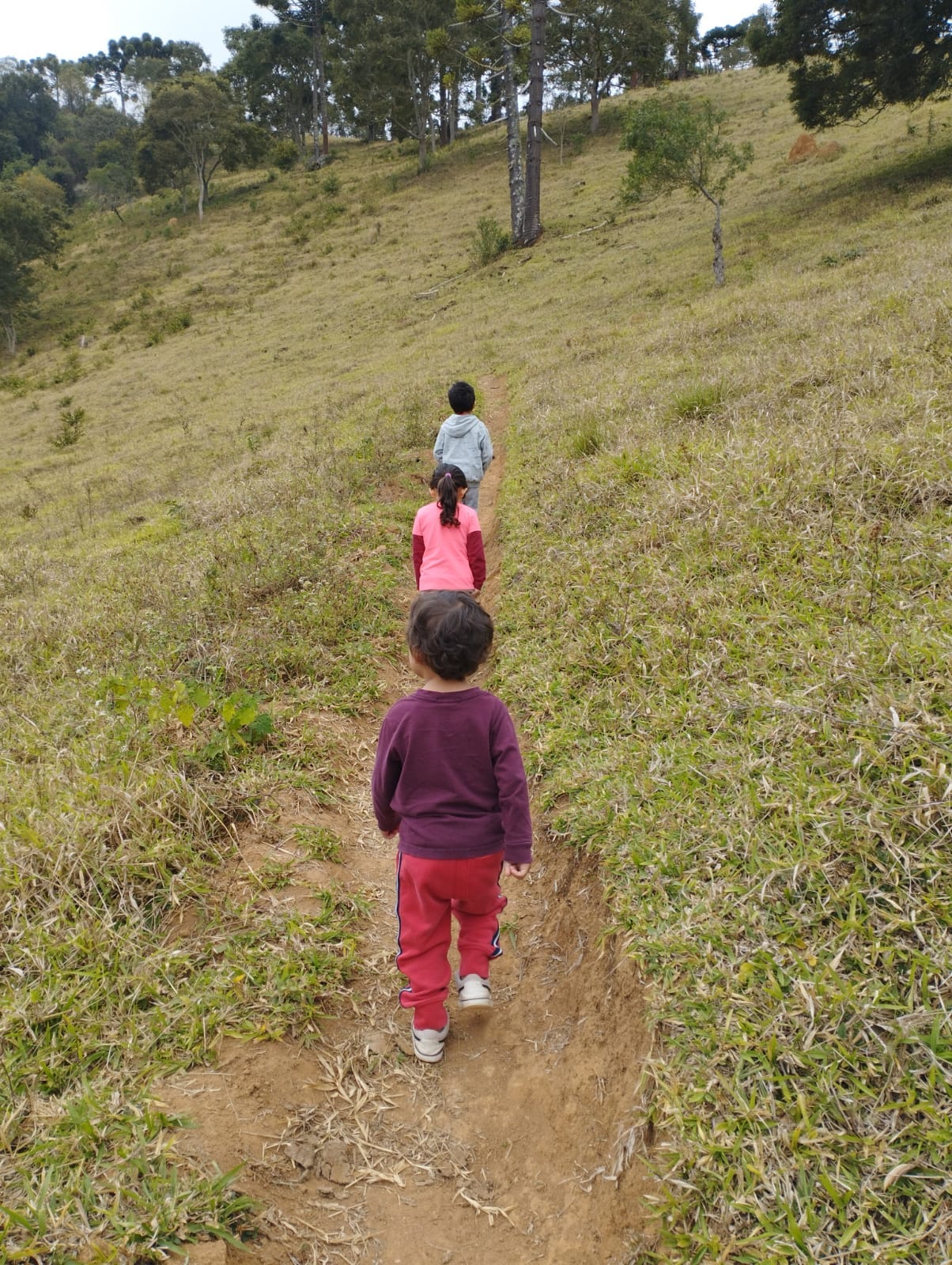 Quando o corpo pede vida - by Fernanda Misumi