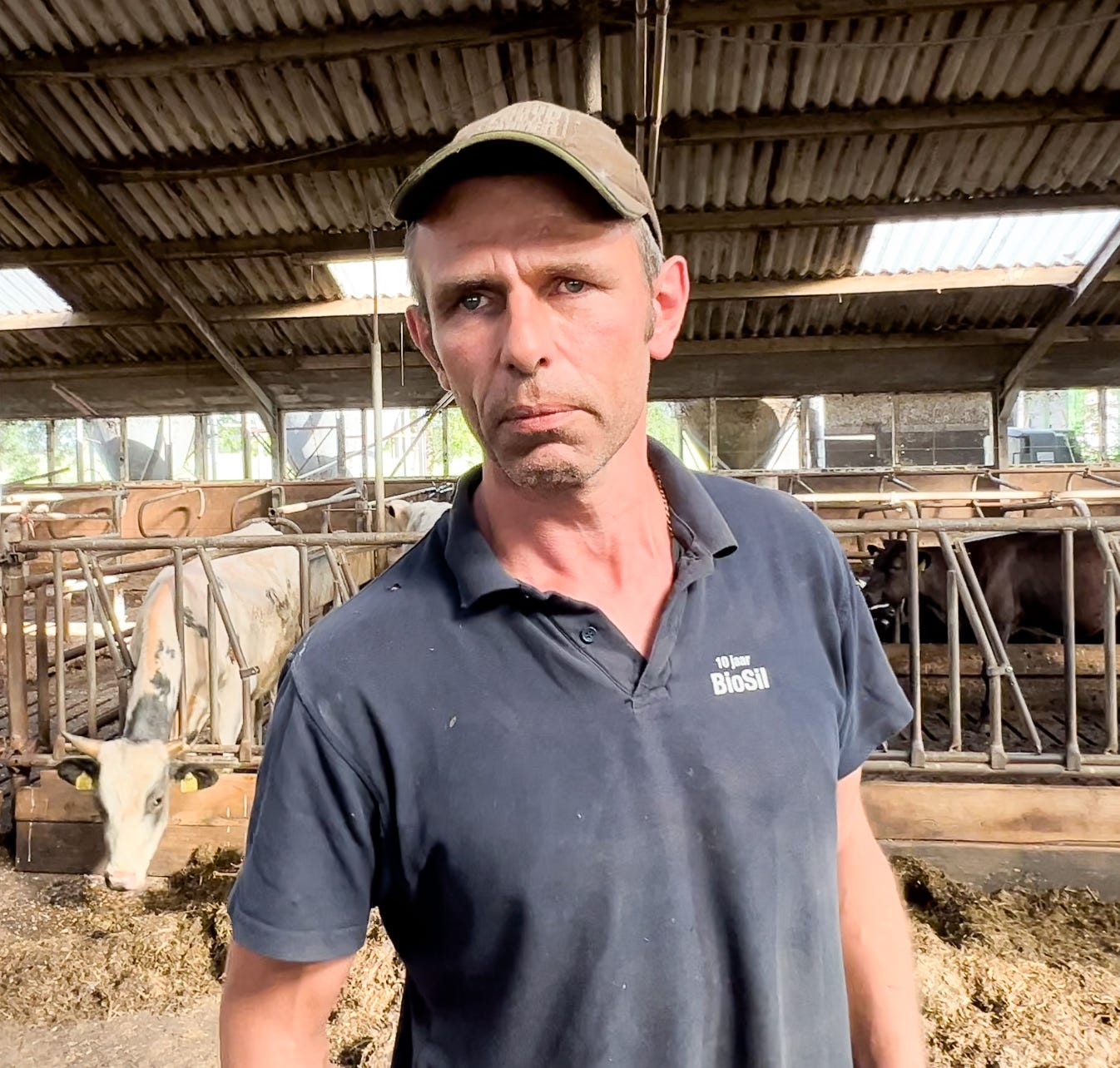 Dutch Farmer Gets Emotional - by Michael Shellenberger