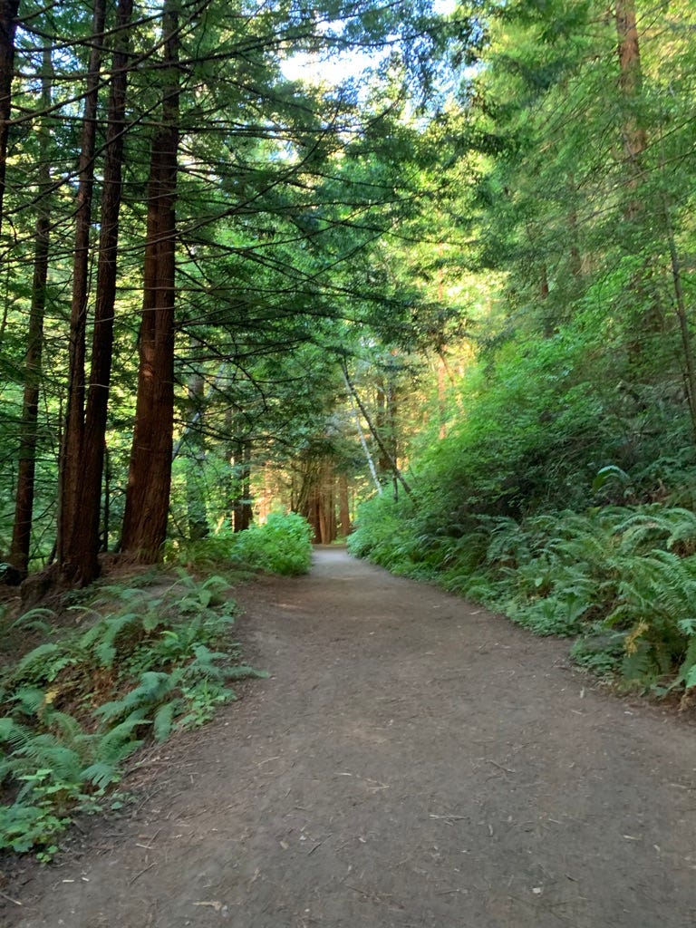 Sachin’s Semi-Insightful Scribblings | Sachin Kesiraju | Substack