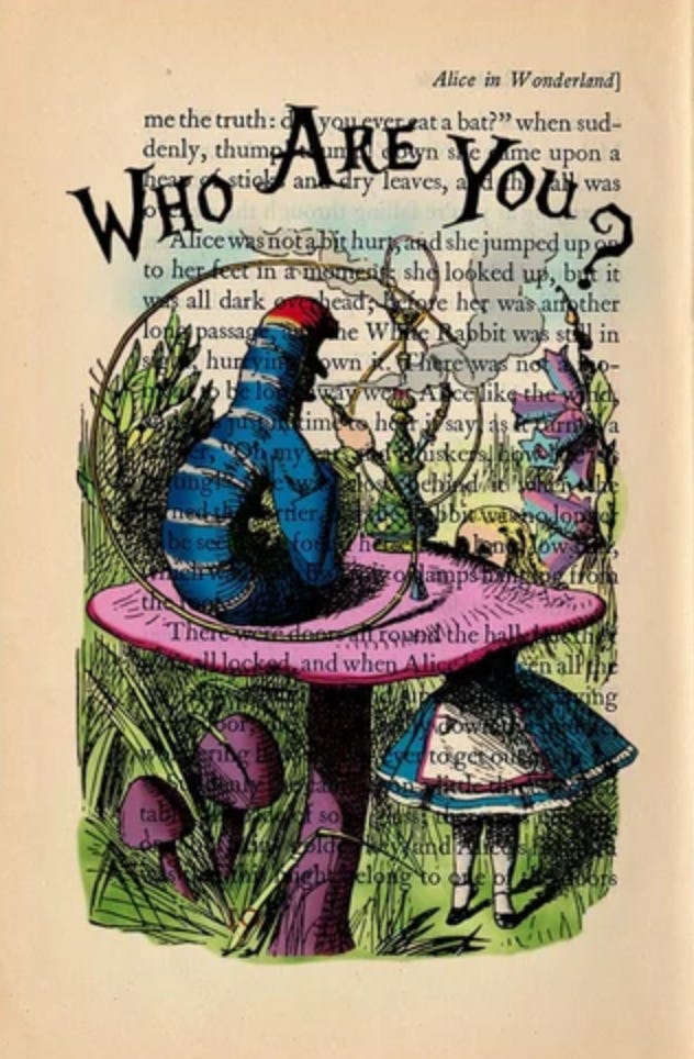 Who Are You? - The Starfire Codes by Demi Pietchell