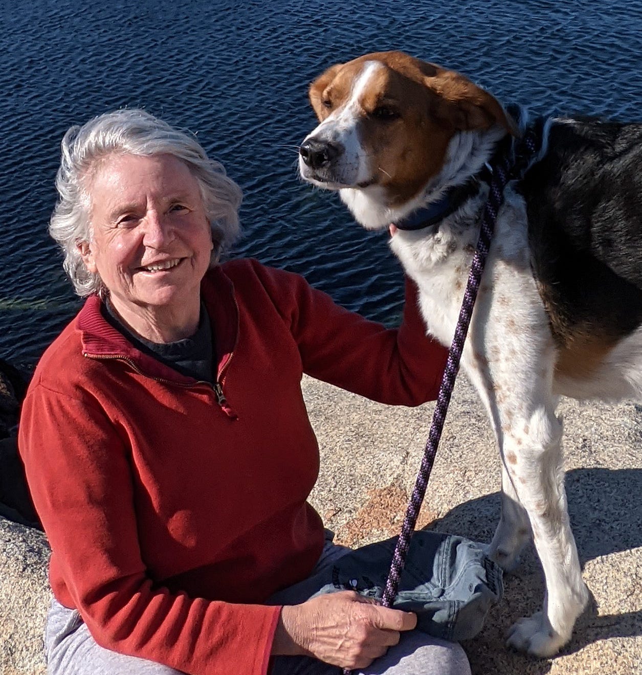 Nancy Gill | Substack