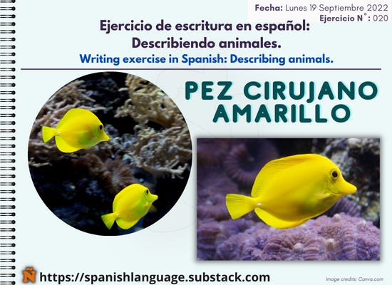 ️Spanish Writing Exercise: Describing animals. (020)