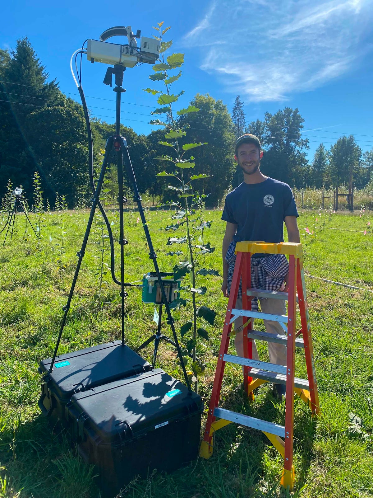 Our Investment in Living Carbon - MCJ Newsletter