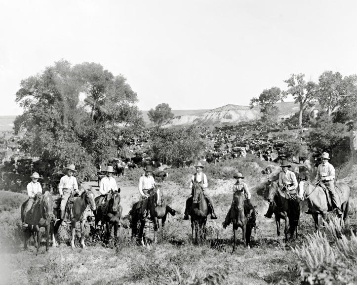 Texas Hold 'Em: Lone Star Secession - PREVAIL by Greg Olear