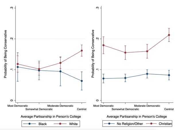 Diverse and Divided: A Political Demography of American Elite Students