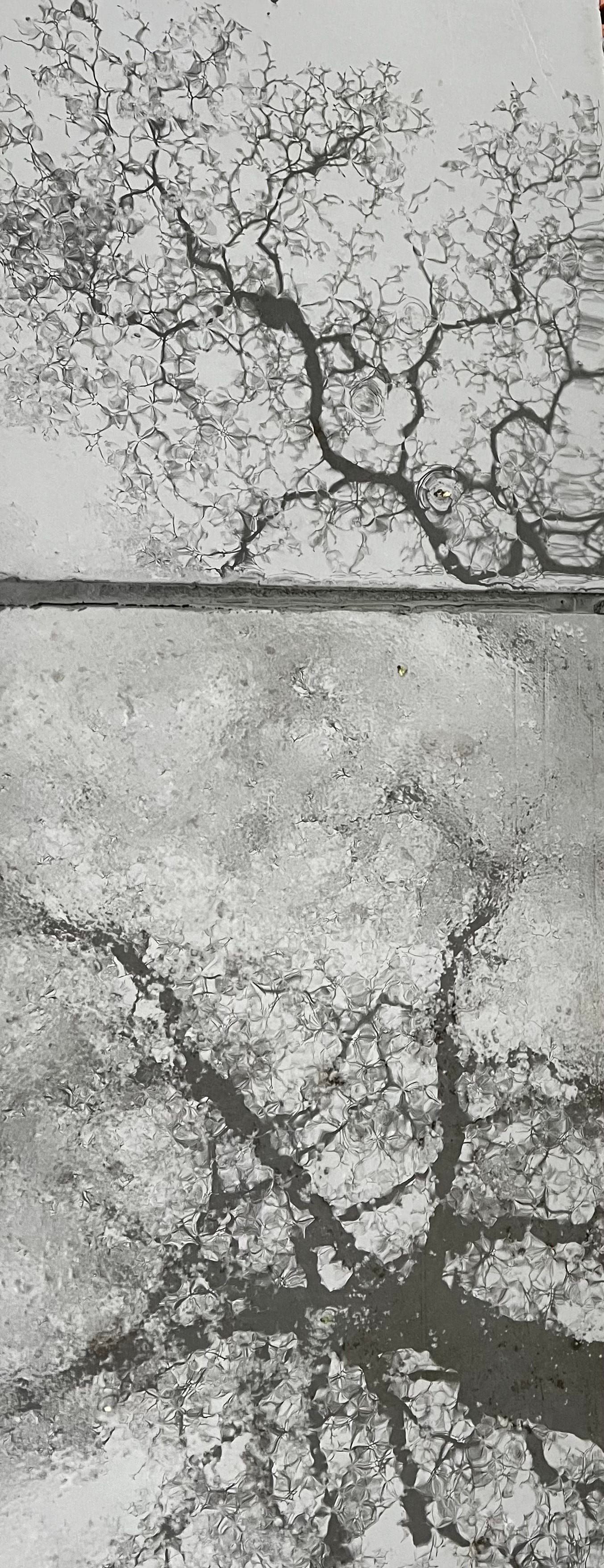 Light Affliction - by Chris EW Green - Speakeasy Theology