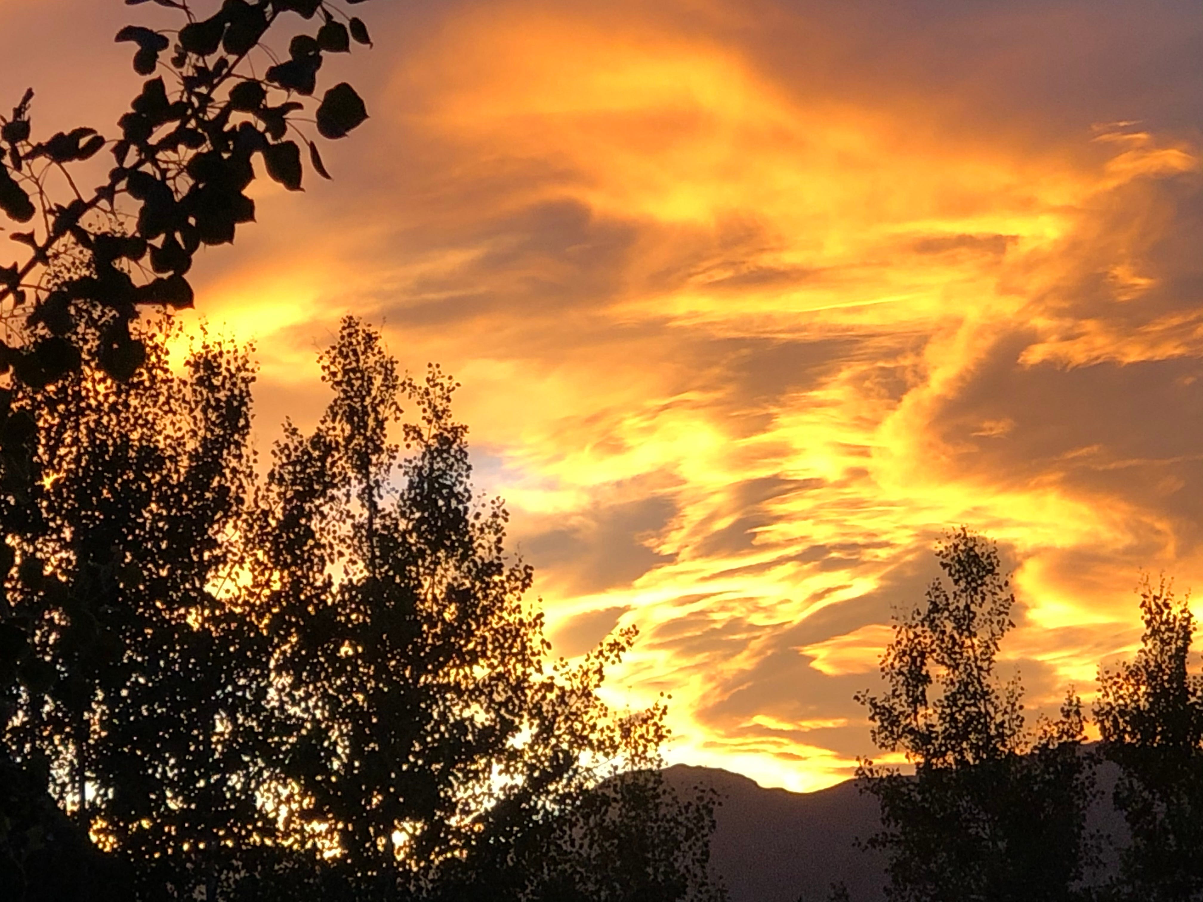 Jeffrey Kocher MD | Substack