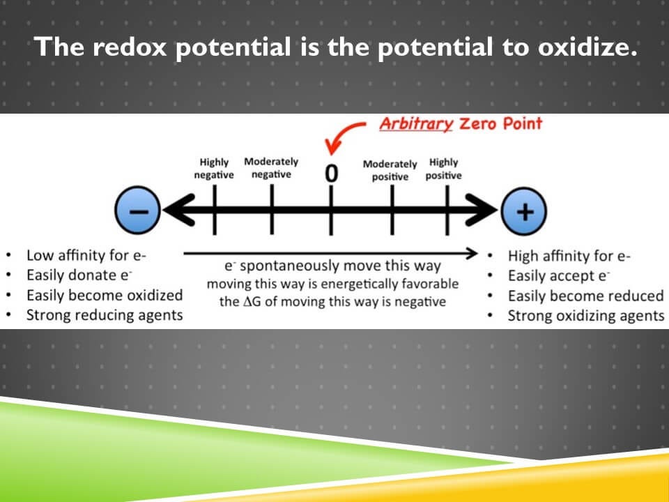3. Cellular Respiration - by Chris Masterjohn, PhD