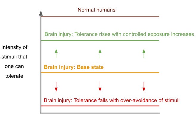My toolbox for brain injury recovery - by Amol Avasare