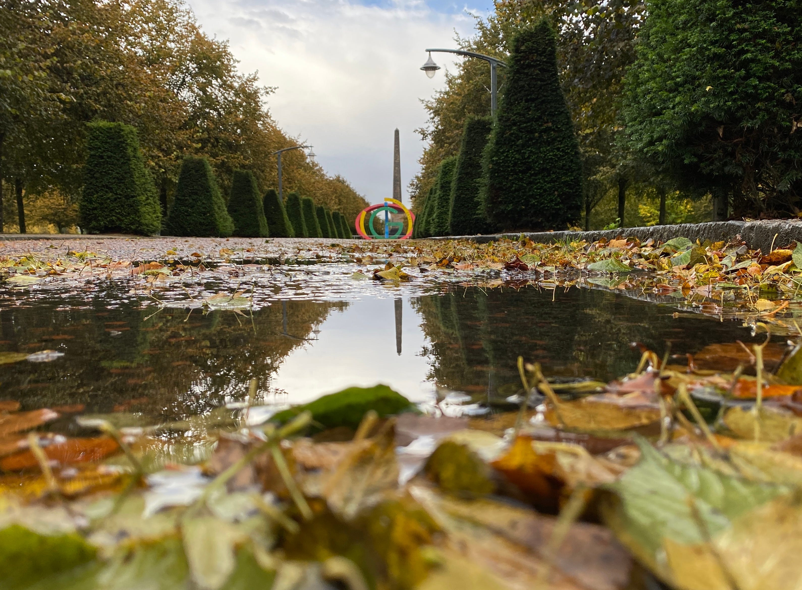 Expansion and Contraction - by Neil Scott - The Crop