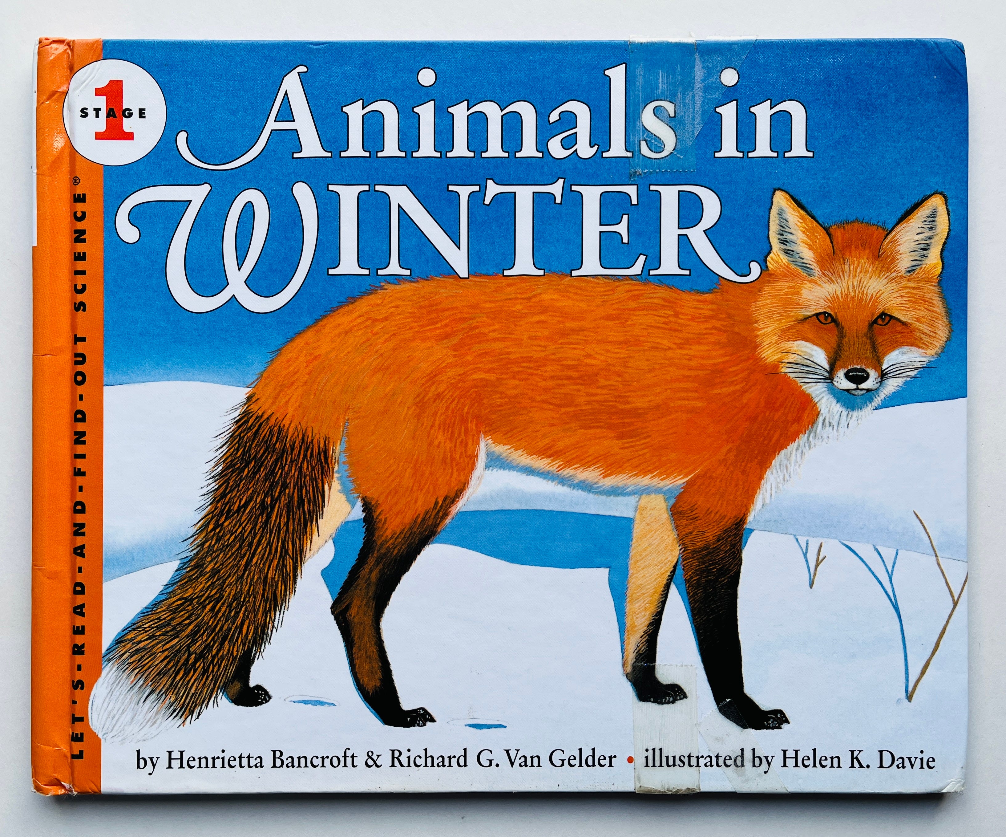 Children’s books about hibernation 🐻 - by Sarah Miller