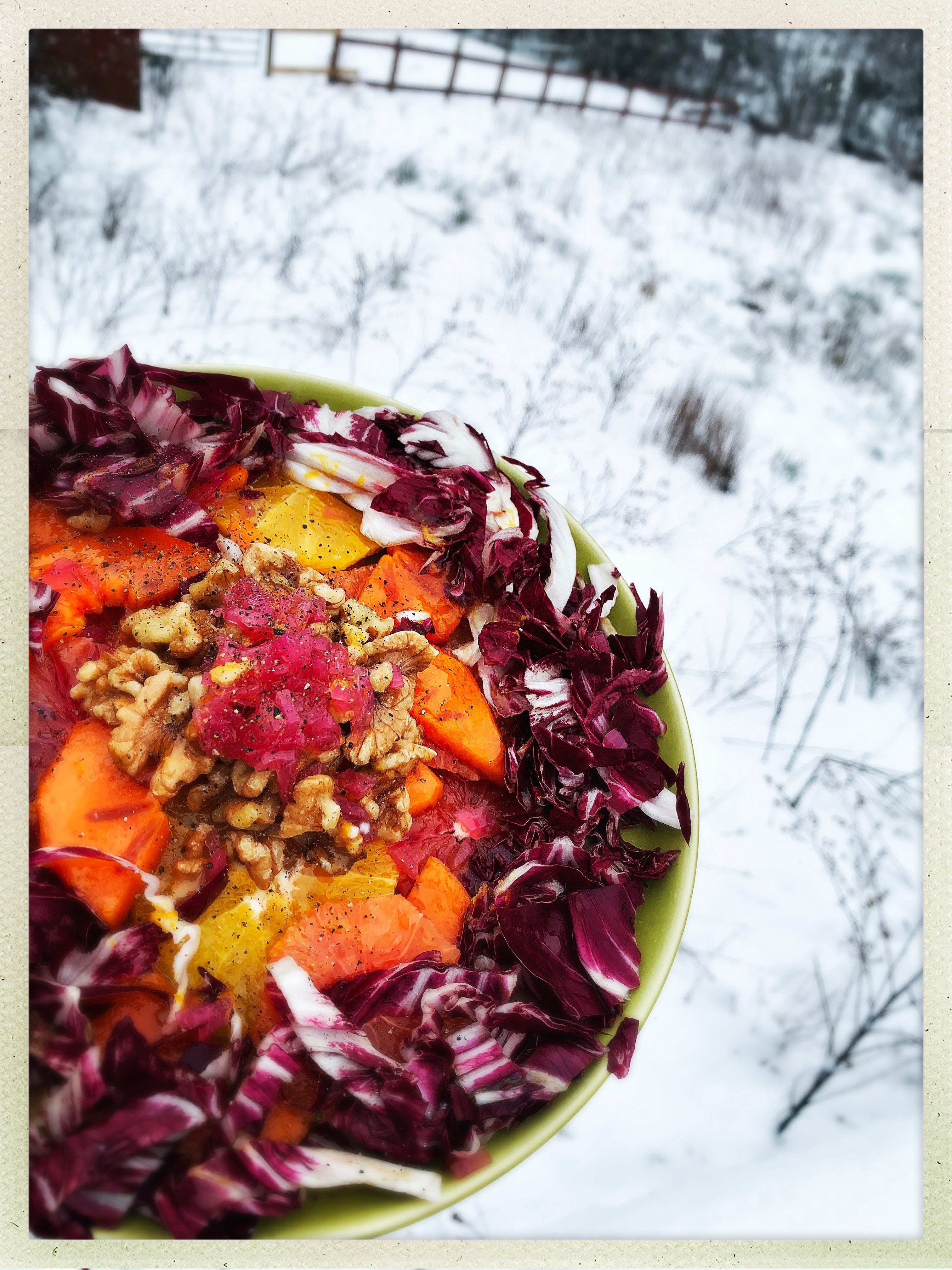 Welcome to the Department of Salad #10 - by emily nunn