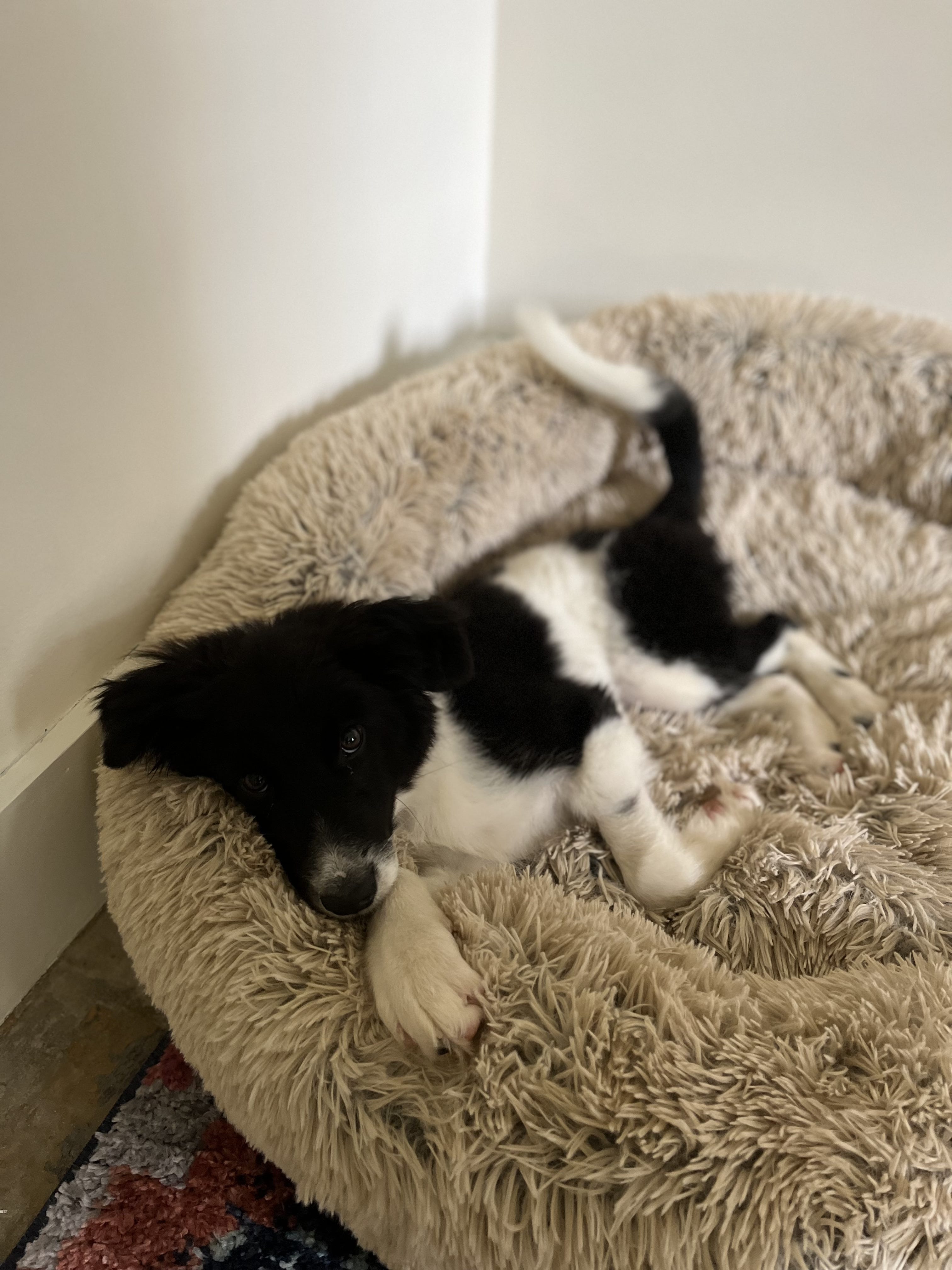 The obstacle you keep hitting - by Nic Antoinette