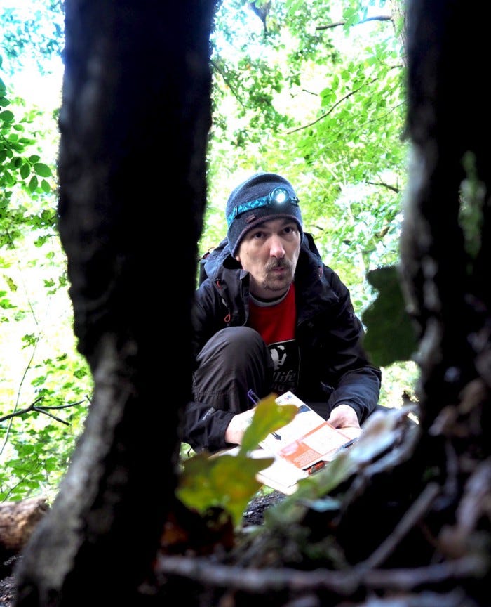 Setts in the City - by David Bocking