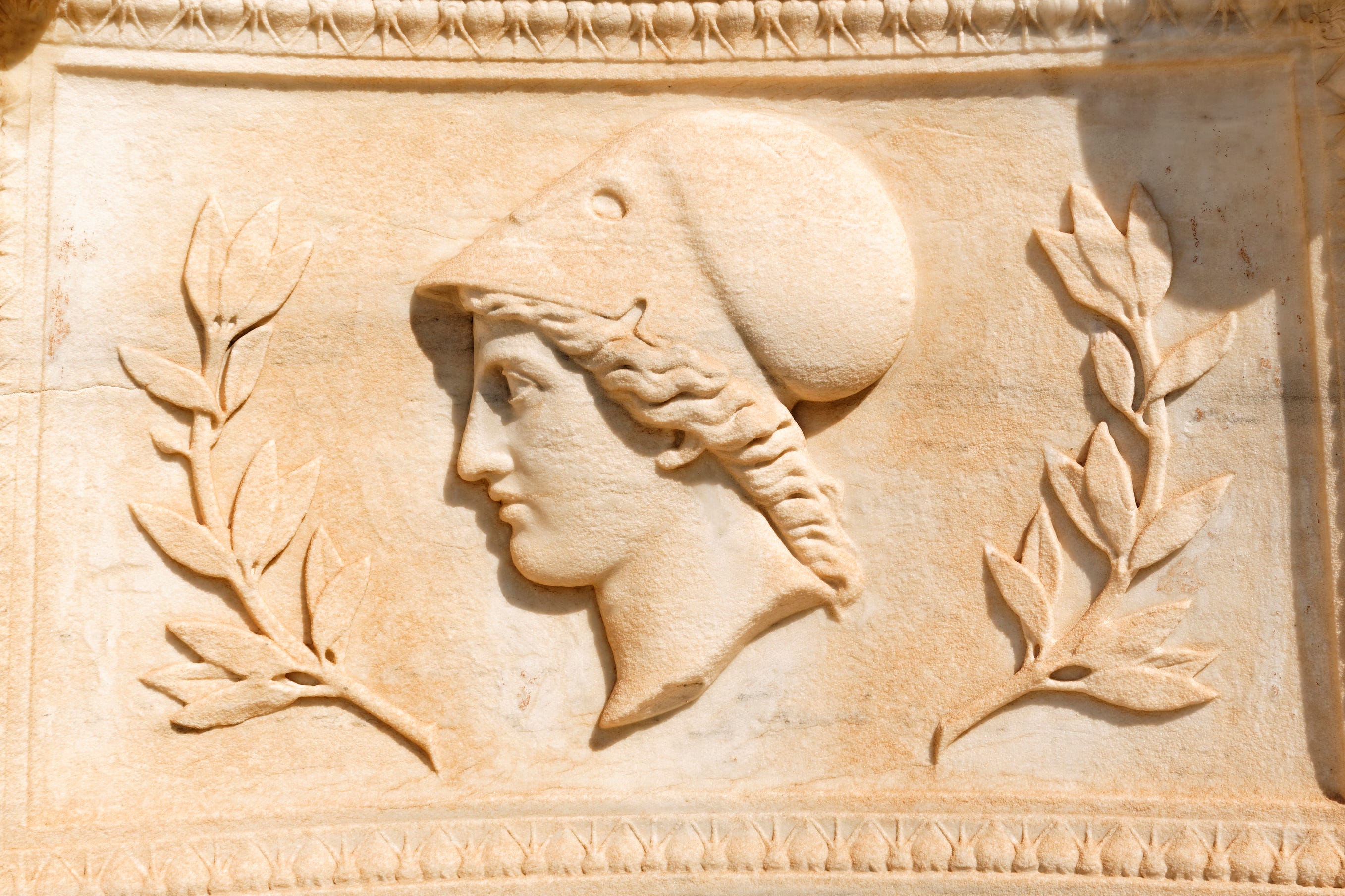 Les origines de la lignée Alex Frank - Alex Frank