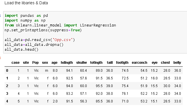 Log Linear Model - by BowTied_Raptor
