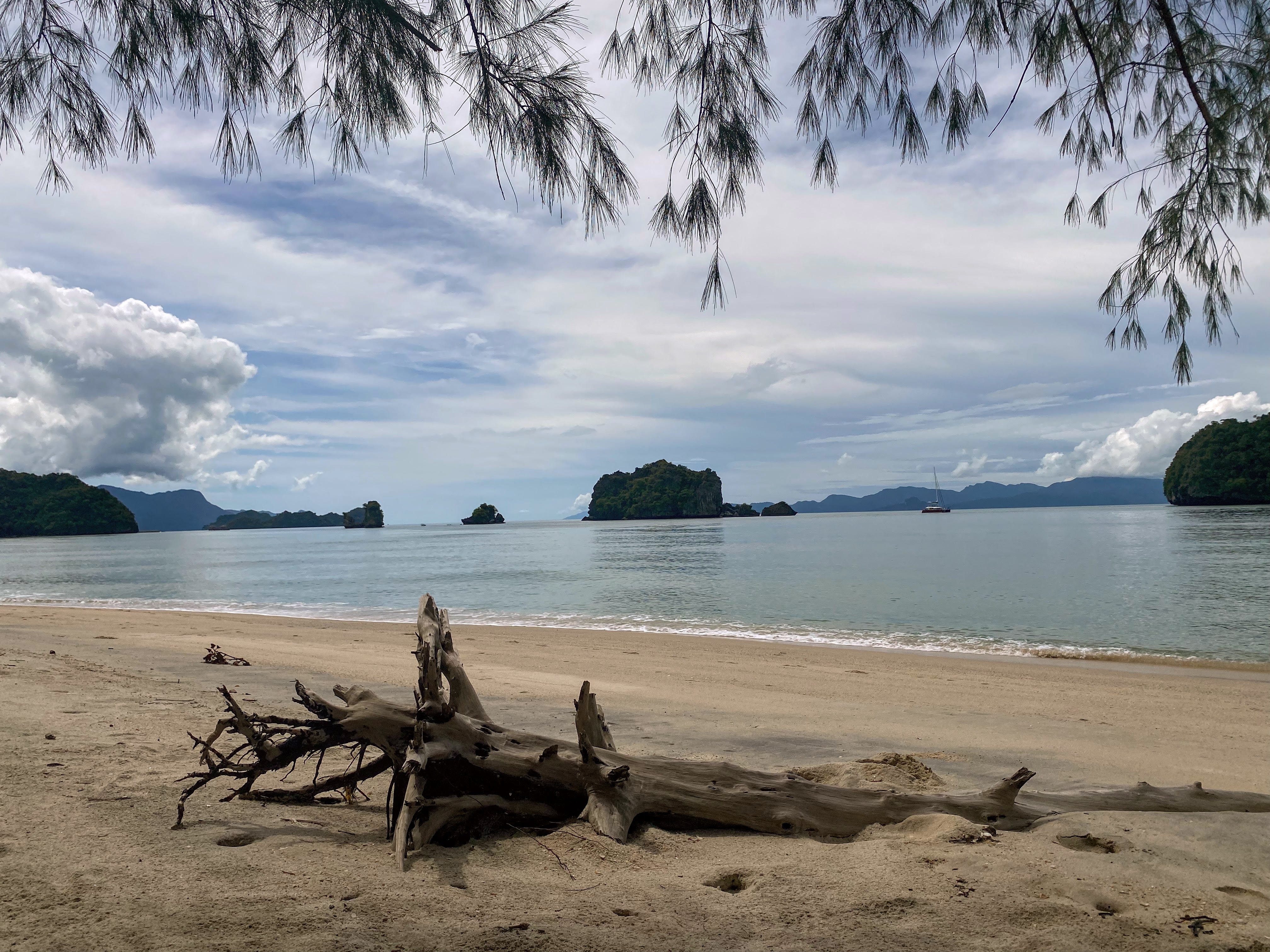 Tulostoma at Tanjung Rhu Beach - by Joseph Pallante