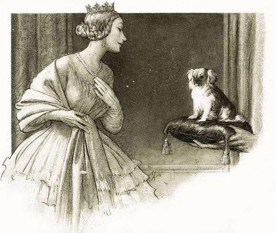 Looty the Pekingese - by Ysabelle - Fragments