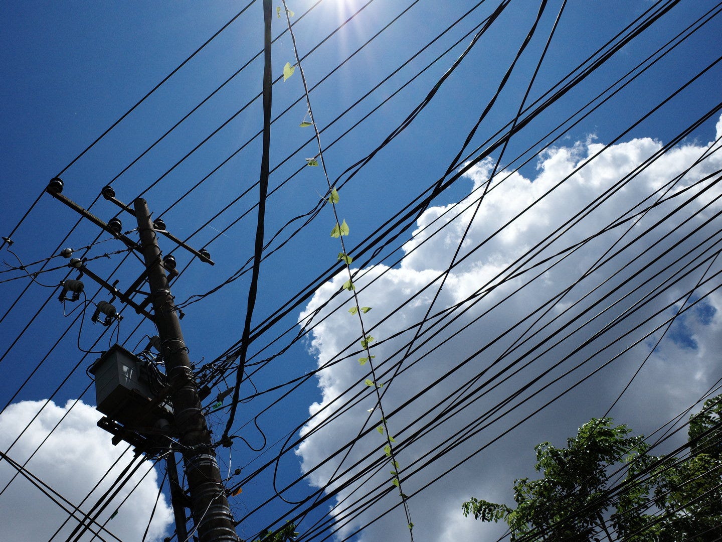 Bye 2022, Hello 2023 - The Wobbly Ninja Weekly Scroll