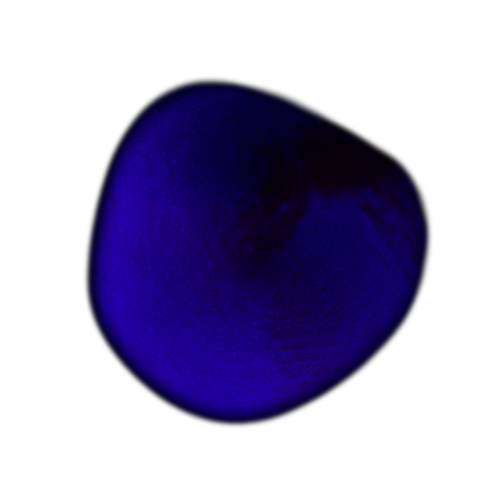 Reflections, Imbolc 2022 - by Gemma Mortensen